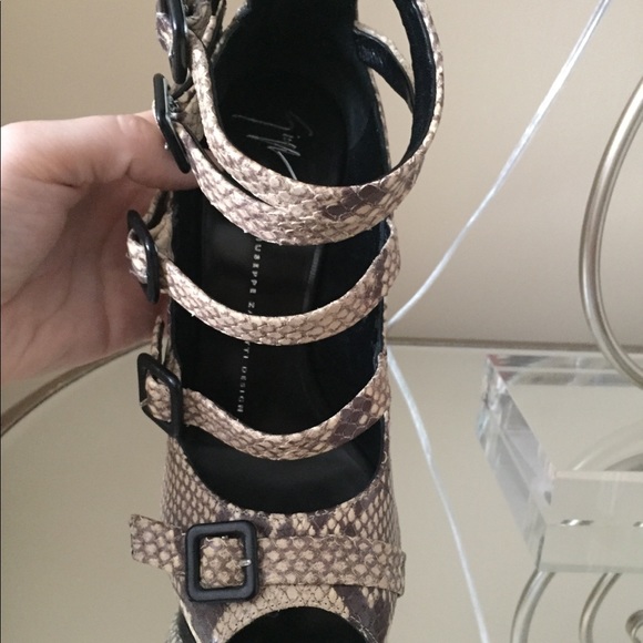 Giuseppe Zanotti | Shoes | Brand New Giuseppe Zanotti Snake Skin ...